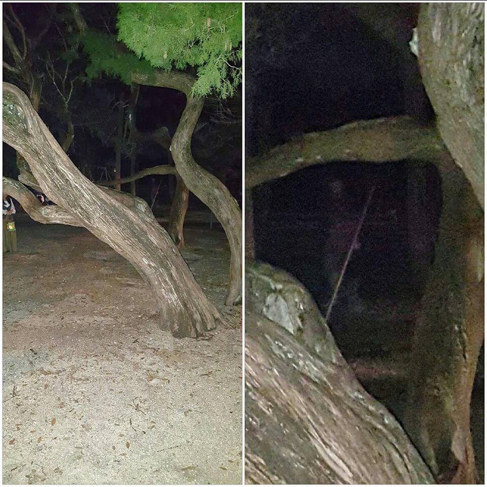 Ghost Encounters Real Life Ghost Stories In St Augustine